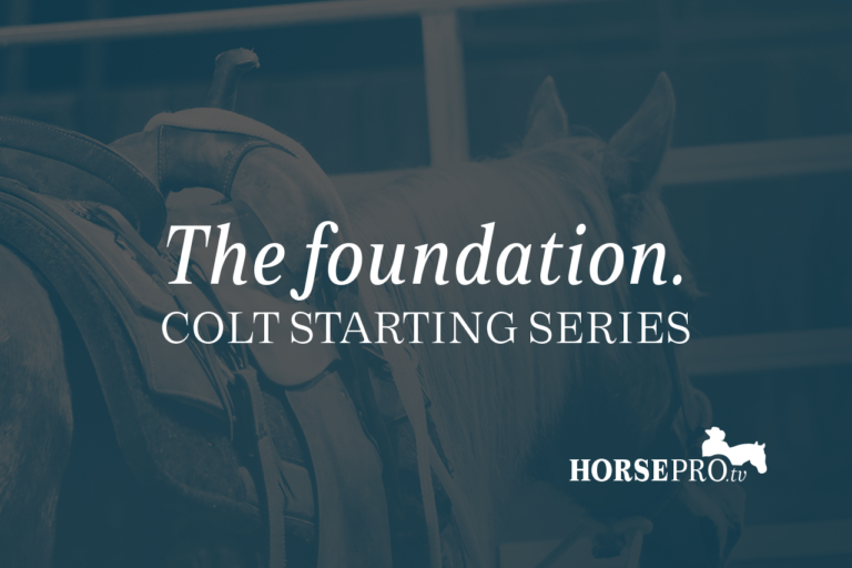 Horse Training Videos - Reining, Barrel Racing, VRH, and Colt Starting