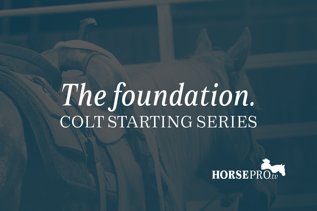 Horse Training Videos - Reining, Barrel Racing, VRH, and Colt Starting