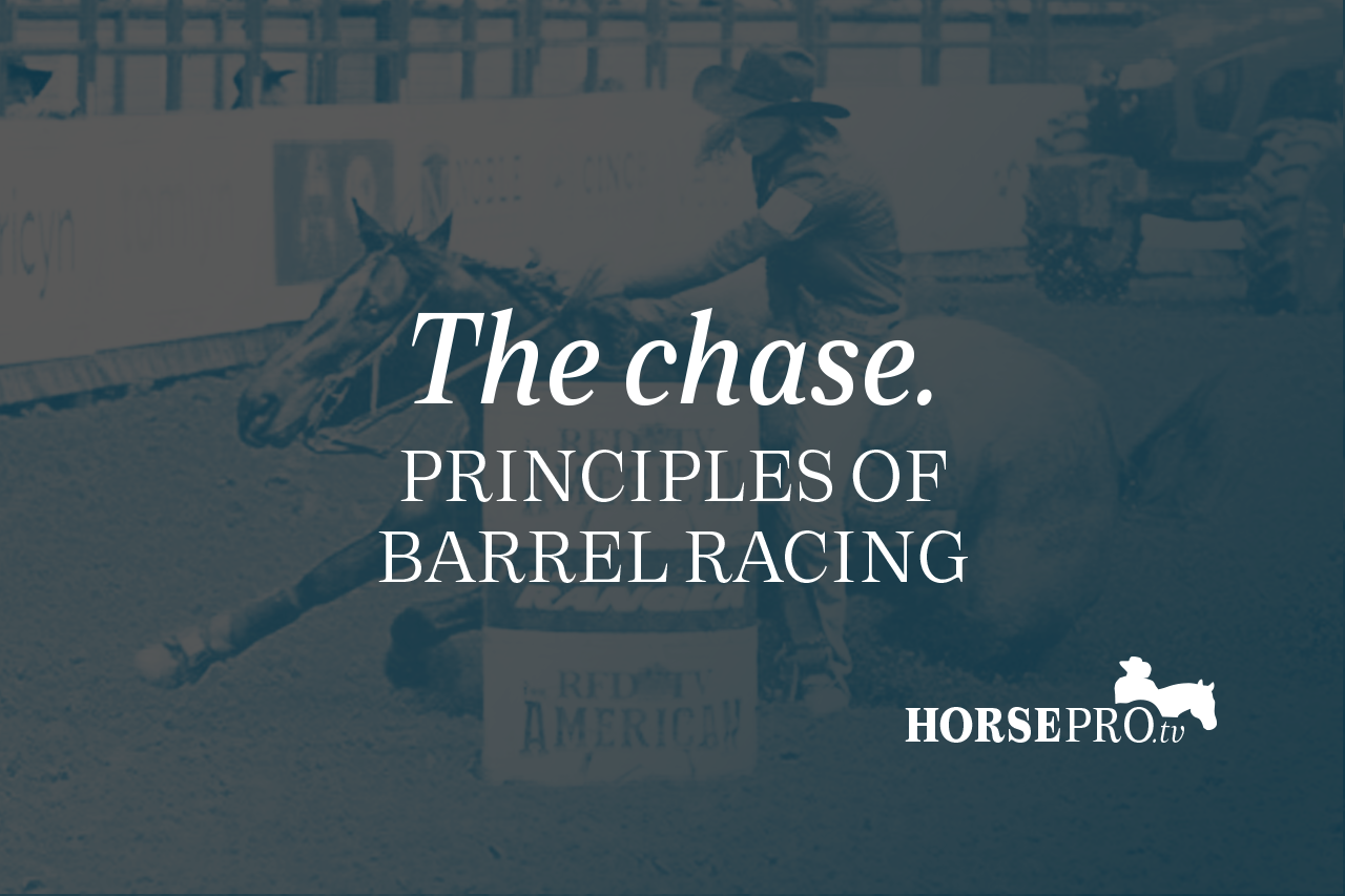 Horse Training Videos - Reining, Barrel Racing, VRH, and Colt Starting