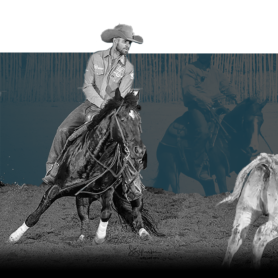 Cutting Horses: The First Year - HORSEPro.tv